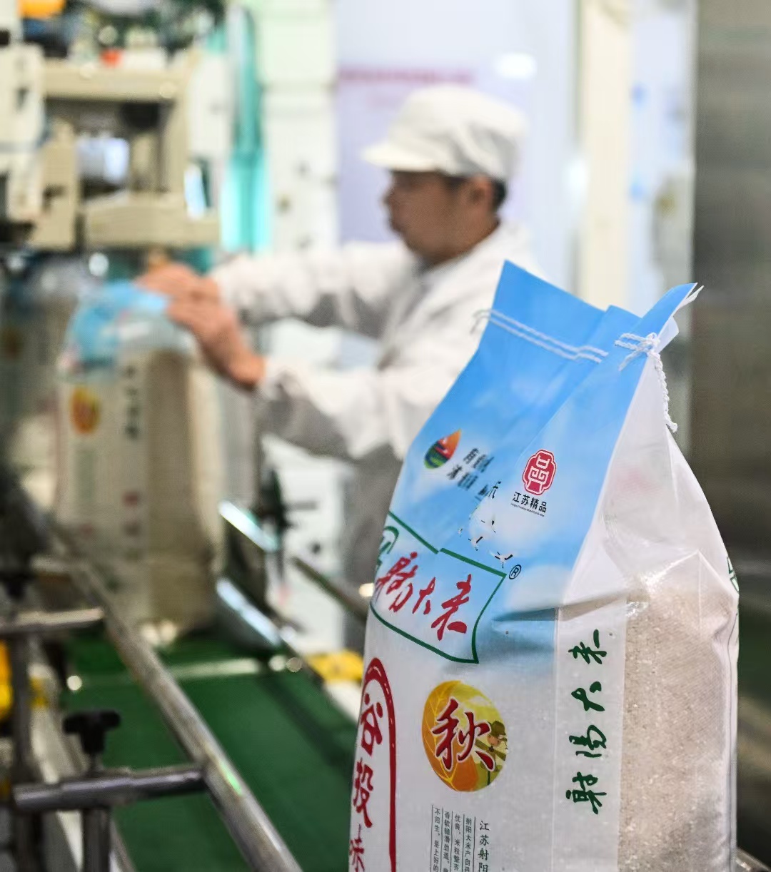 New Variety of China's Sheyang Rice Wins Prestigious Int'l Award | AsiaNet